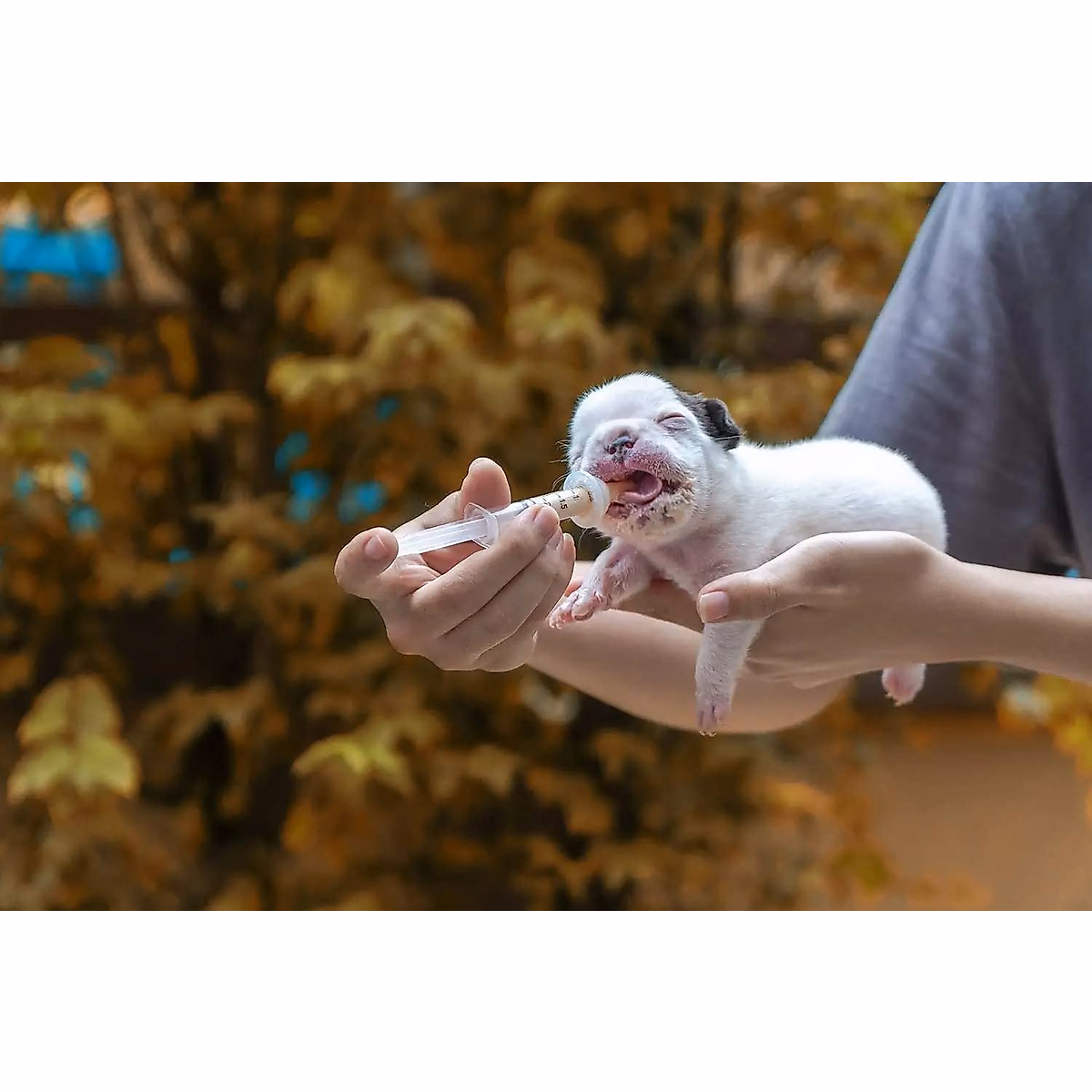 20Pack lastic Syringe, Individual Package Syringe and cap, Suitable for Lip Gloss, Paint, Epoxy Resin, Watering Plants, Glue Applicator or Oil, Measuring Liquids and Refilling (10ml)