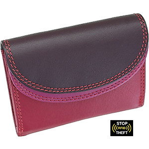 VISCONTI Rainbow Collection Small Leather Purse RFID and Tap and Go RB126 (Plum Multi)