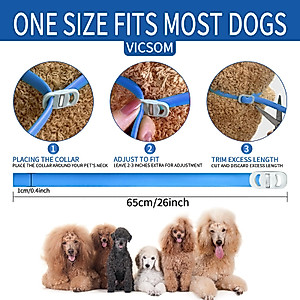 4 Pack Flea Collar for Dogs, Dog Flea and Tick Collar 8 Months Flea and Tick Prevention for Dog, Waterproof Adjustable Puppy Collar Natural Tick and Flea Collars for Small Medium Large Dogs,Blue