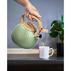 Hauce Radio Tea Kettle Stovetops, 2.5 Quart Food Grade Stainless Steel Water kettles for Stove Top Teatop with Anti-hot Ergonomic Handle,Suitable for All Heat Sources