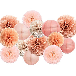 Hanging Party Decorations - Tissue Paper pom poms and Lanterns Backdrop Decor for Engagement Wedding Birthday Bridal Shower Bachelorette (Rose Gold)