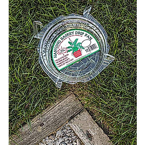 Curtis Wagner 10" Clear Hanging Basket Drip Pan Saucer (10-Pack)