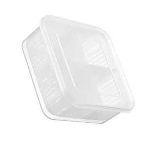 Generic Vegetable Storage Container, Draining Storage Containers 4 Compartments with Lid for Ginger Garlic for Picnic, Genericwbvqg87gr3
