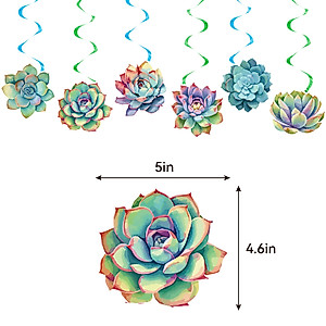 Succulent Plants Birthday Party Decorations Succulent Plants Party Supplies Includes Birthday Banner Cake Cupcake Toppers Hanging Swirls Balloons for Succulent Plant Birthday Baby Bridal Shower Decor