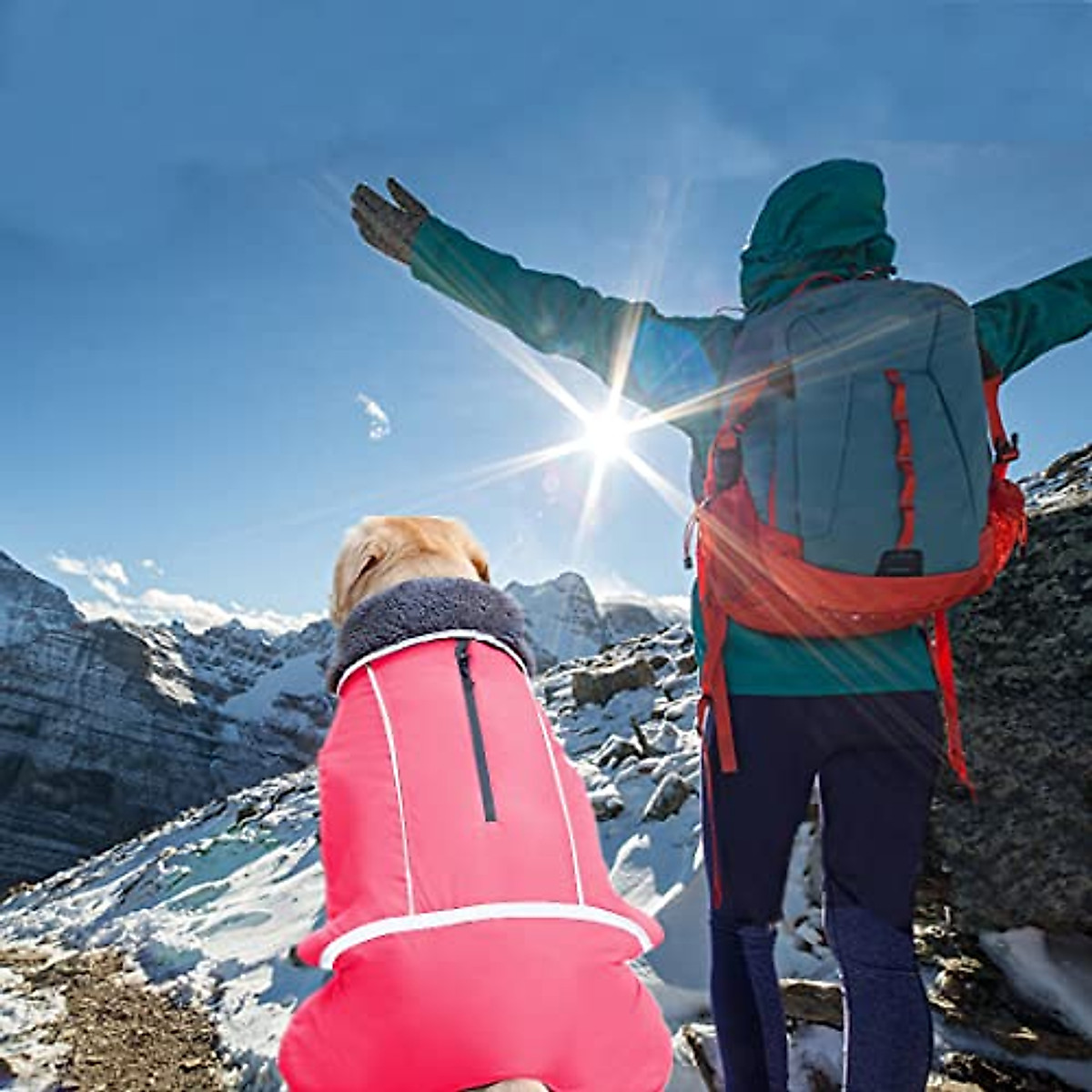 Doglay Dog Winter Coat with Thicken Furry Collar, Fleece Lining Reflective Warm Dog Jacket, Waterproof Adjustable Dog Clothes for Cold Weather, Soft Puppy Vest Apparel for Small Medium Large Dogs