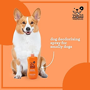 Wags & Wiggles Revive Waterless Bath Spray for Dogs | Waterless Dog Shampoo Dog Spray Dog Deodorizing Spray for Smelly Dogs in Tangerine Tango Scent, 12 oz