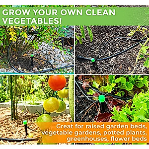 Carpathen Drip Irrigation Parts 5/16-6 Pack: 3 x PVC Female Hose Thread Non-Swivel Adapter to 5/16" tubing and 3 x Barbed Threaded End Plugs - Drip Irrigation Fittings