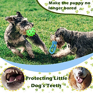 Puppy Dog Toys Set, 16pcs Dog Teething Chew Toys for Small Medium Large Dog, Dog Toys to Keep Them Busy, Interactive Dog Toothbrush Toys, Safe Training Dog Fun&Teeth Cleaning Toys (Mix Toys-16)