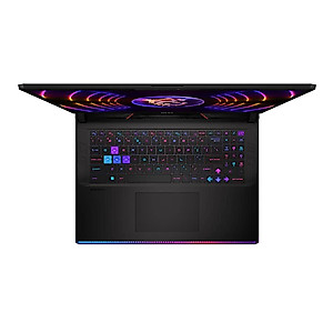MSI Raider GE78HX 17.3" QHD+ 240Hz IPS Gaming Laptop Computer - 13th Gen Intel 24-Core i9-13950HX, NVIDIA GeForce RTX 4070 8GB GDDR6, 64GB DDR5 RAM, 2TB NVMe SSD, Win11 Pro: Dark Grey