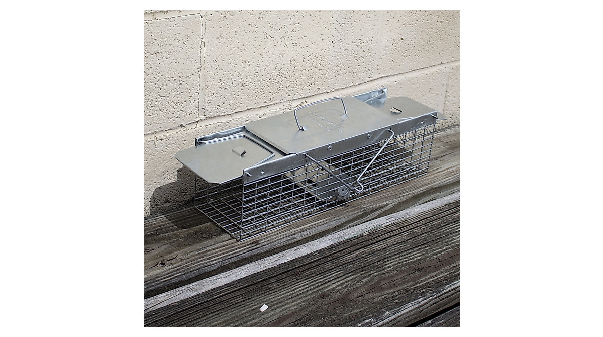 Havahart 1025 Small 2-Door Humane Animal Trap - Safe & Effective