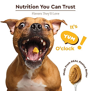 Super Multi-Vitamin Chew with Ashwagandha. Multivitamin for Joint, Skin, Gut, Brain, Bone, Heart & Immune Health - All Natural Ashwagandha, Curcumin, Pumpkin Powder & Vitamin C (90 Chews).