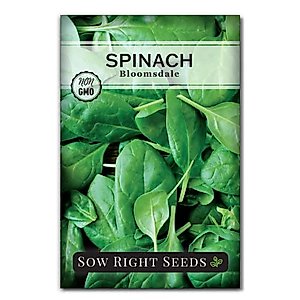 Sow Right Seeds - Bloomsdale Spinach Seeds for Planting - Non-GMO Heirloom Packet with Instructions to Plant and Grow an Outdoor Home Vegetable Garden - Vigorous Leafy Green - Wonderful Gardening Gift