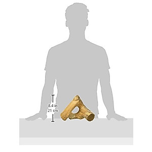 Galápagos (05281) Driftwood Branches, Natural, 1-2 Ft.