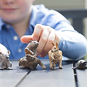 Schleich Wild Life Realistic Australian Animal Toy Set - 5-Piece Outback Animals Playset with Crocodile, Kangaroo, Koala, Platypus, and Wombat, Farm Zoo Play for Boys and Girls, Gift for Kids Age 3+