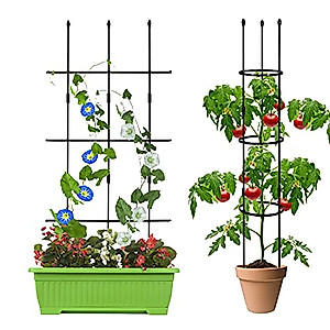 MIXXIDEA 2 Packs Garden Trellis for Climbing Plants Outdoor and Indoor - 48-Inch Garden Obelisk Trellis Adjustable Metal Trellis for Tomato Plant Support