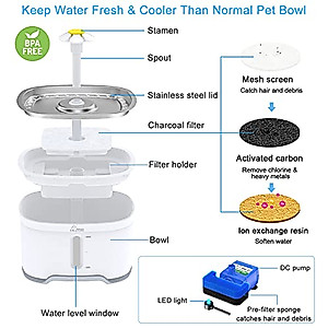 Cat Fountain Stainless Steel, 84oz/2.5L Automatic Pet Fountain with Water Level Window and LED Light for Water Shortage Alert