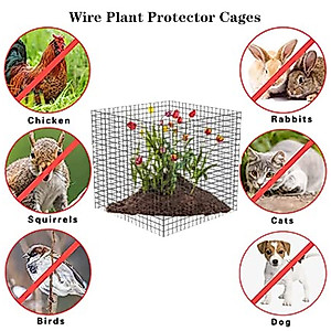 Small Wire Plant Protectors, 6 Pack Square Plant Protectors from Animals Mesh Plant Cage Chicken Wire Cover for Protect Plants, Garden,Shrubs and Vegetables from Animals(12x12 in)