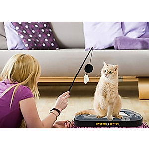 Pets First Cat Scratching Toy NHL Boston Bruins Hockey Field Cat Scratcher Toy with Interactive Cat Ball Bell in Tracks. 5-in-1 CAT Toy: Cat Wand Poll with Catnip Filled Plush Hockey Puck & Feathers.