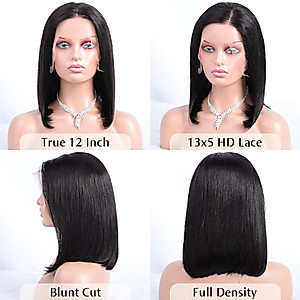 Flady 12 inch Straight Bob Wig Human Hair 13x4 HD Frontal Lace Wig Short Bob Wigs for Women Glueless Bob Lace Front Wigs Human Hair Pre Plucked 150% Density Natural Black Color
