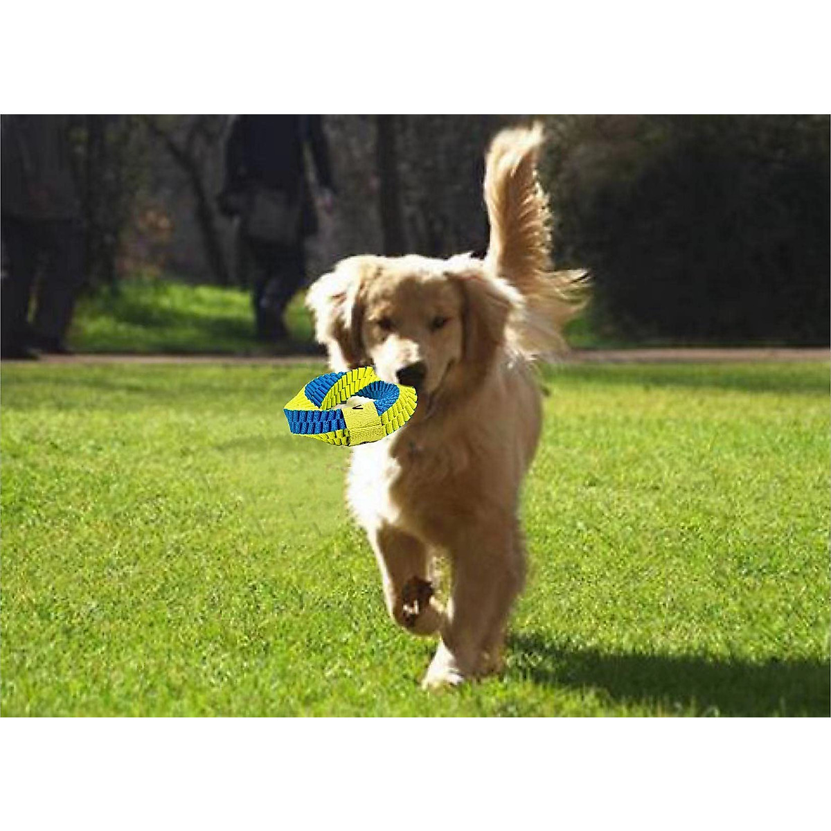 Dogs Long Time Playing Easier to Cleaning Teeth, Toy for Dogs Training and Playing,Nylon