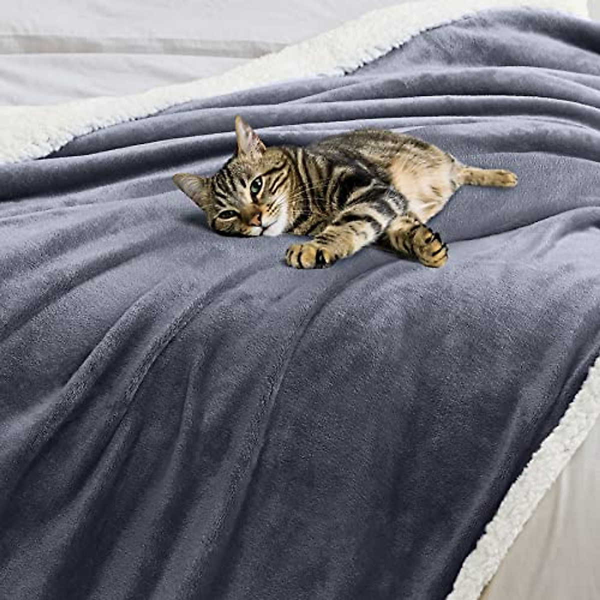 BEAUTEX Sherpa Fleece Throw Blankets, Soft Fluffy Flannel Plush Blanket and Throw, Fuzzy Cozy Grey Cuddle Blankets for Couch Bed Sofa Adults (50" x 60", Grey)