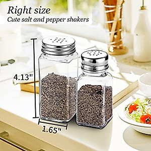 Glass Salt and Pepper Shakers Set Large,DWTS DANWEITESI Farmhouse Salt and Pepper Shakers Cute with Stainless Steel Lid-Large Spice Jars,Clear to Know When to Fill,Cute Farmhouse Kitchen