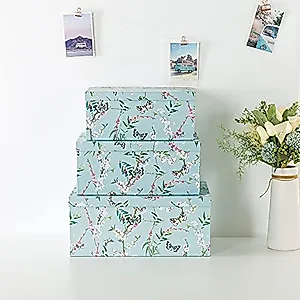 Soul & Lane Butterflies in Flight Photo Storage Boxes (Set of 3): Nesting Boxes with Lids, Floral Decorative Cardboard Containers, Paperboard Picture Storage for Photos, Nature Decor Cartons