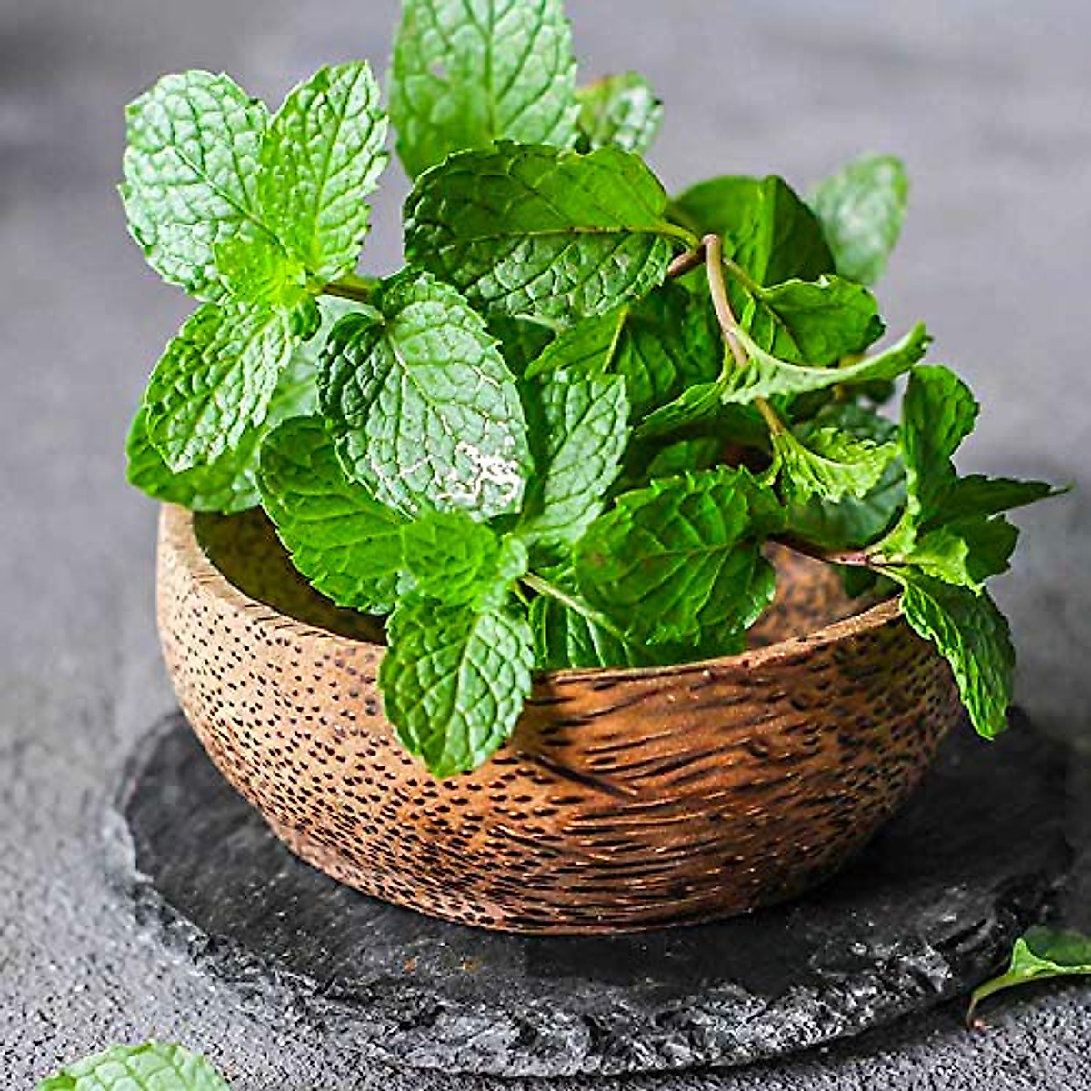 Gaea's Blessing Seeds - Mint Seeds - Non-GMO Seeds with Easy to Follow Planting Instructions - Spearmint - 90% Germination Rate