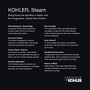 KOHLER K-5557-CP 5557-CP Steam, No Size, Polished Chrome
