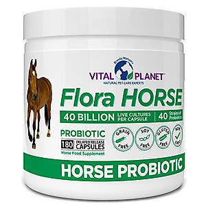 Vital Planet - Flora Horse Probiotic, High Potency Equine Probiotics with Prebiotics, 40 Billion Live CFU from Multiple Strains, Digestive and Immune Support, 180 Delayed Release Capsules (180 Days)