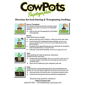 CowPots TV208926 3" Round Cow Pot Planter (12 Pack), 175mL