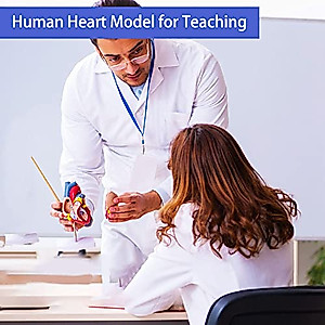 Veipho Heart Model, Heart Model Anatomy with Stand, Human Heart Models Anatomy Life Size, 2-Part Human Heart Model, Heart Model Anatomy, 34 Accuracy Numbers for Anatomical Structures