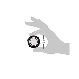 Orbit WaterMaster Underground 51241 3/4-Inch Plastic Auto Drain Valve