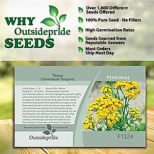 Outsidepride Perennial Tanacetum Vulgare Tansy Garden Plants, Use Leaves for Drying & Dyes - 5000 Seeds
