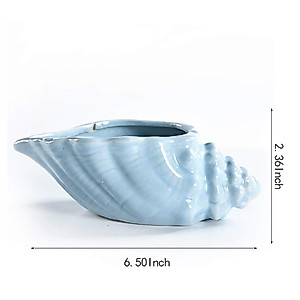 SUN-E 5.5 Inch Blue Conch Ocean Series Ceramic Base Serial Set Succulent Plant Pot Cactus Plant Pot Flower Pot Container Planter with Drainage Hole Gift Idea 4 in Set(Plants Not Included)