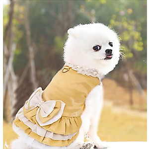 Albrost Dog Dress Harness Vest with Matching Leash, Golden Bow-Knot Puppy Dresses D Ring, Cute Leash Set, Princess Multi-Layer Pleated Skirt Pet for Small Cat (Medium), Golden,Gold,White