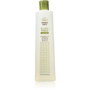Trader Joe's Tea Tree Tingle Shampoo with Peppermint, Tea Tree and Eucalyptus Botanicals, 16-Ounces