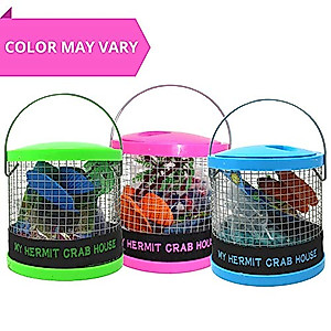 DIY Terrarium Kit, Small Hermit Crab Starter Kit with Wire Cage, Palm Tree Water Holder, Sponge, Bag of Food and Gravel, All in One Pet Supplies, Color May Vary, 4.5 Inches