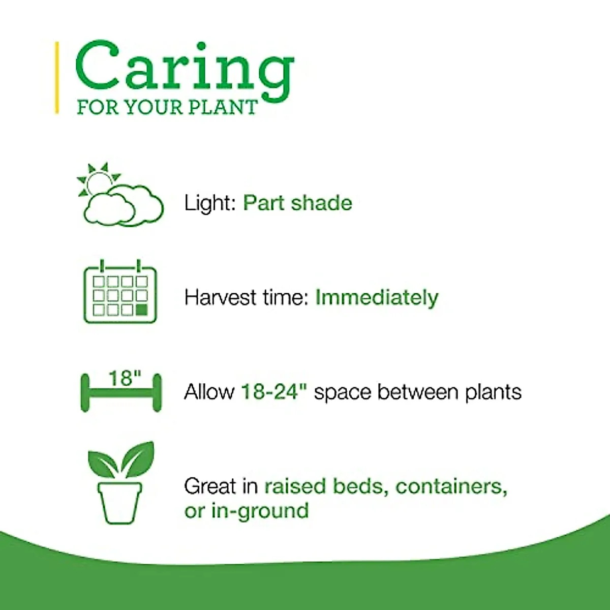 Bonnie Plants Peppermint Live Edible Aromatic Herb Plant - 4 Pack, Pet Friendly, Low Light, Part Shade