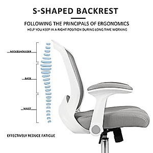 HYLONE Office Chair, White Computer Desk Chair, Mid-Back Task Chair Swivel, Flip-up Arms, Lumbar Support, Adjustable Height, Grey Mesh