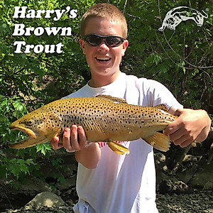 Panther Martin PMH_4_BTH Classic Holographic Spinners Fishing Lure - Brown Trout Holographic - 4 (1/8 oz)