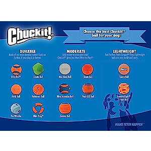 Chuckit! Medium Fetch Ball 2.5", 2 Pack (Colors Vary)