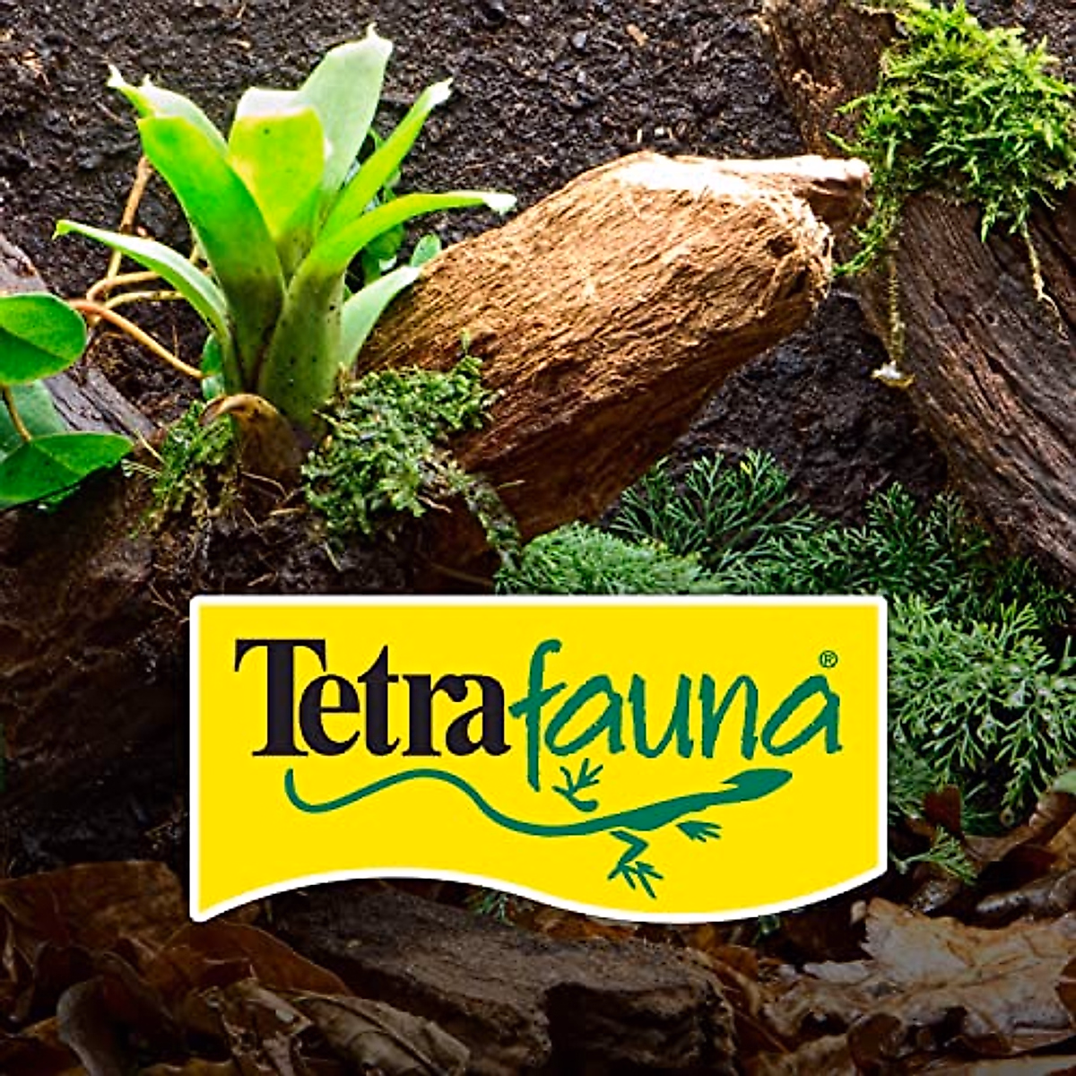 Tetrafauna ReptoTreat Gammarus 0.35 Ounce, Shrimp Treat For Aquatic Turtles, Newts And Frogs