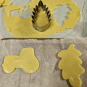 LUBTOSMN Tropical Leaves Cookie Cutter Set-4 Piece- Oak Leaf, Monstera Leaf, Fern Leaf, Tropical Leaves Cookie Fondant Biscui Cutters