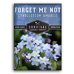 Survival Garden Seeds - Forget Me Not Seed for Planting - Packet with Instructions to Plant and Grow Tiny Blue Flowers in Your Home Vegetable or Flower Garden - Non-GMO Heirloom Variety