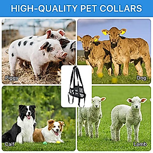 Calf Sling for Weighing Small Animals Calf Hanging Weight Scale Sling with Adjustment Strap Livestock Sling with Livestock Collar Hang Scale for Weighing Calve Lamb Goat Alpacas Newborn Livestock Dog
