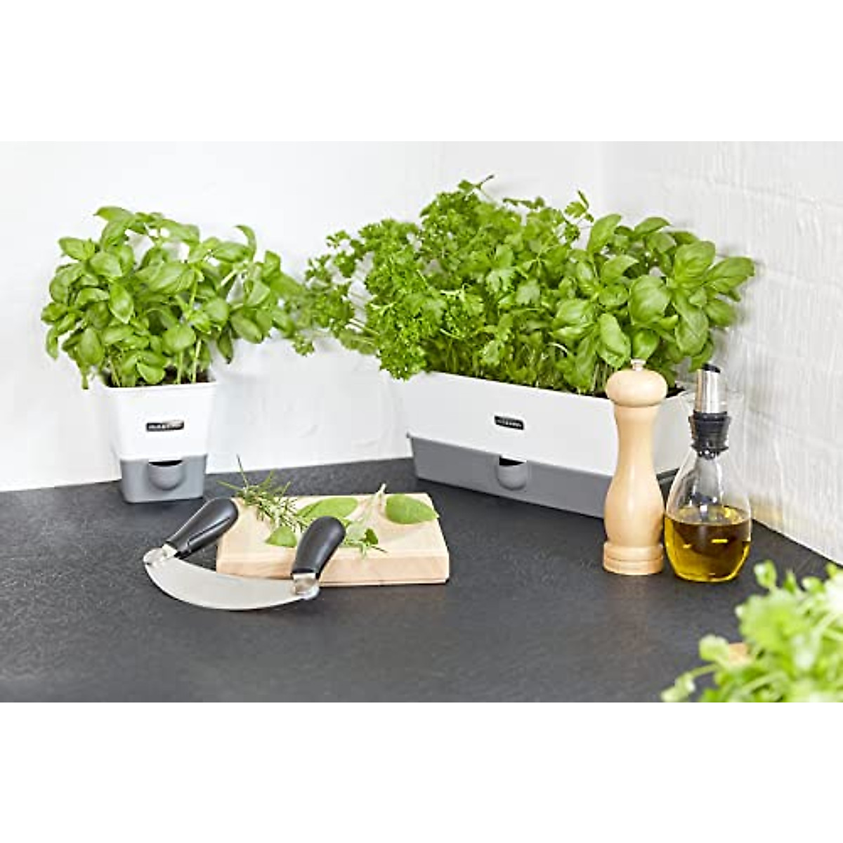 Cole & Mason HA0825P Beech Capstan A8 Salt Mill, Precision+ Wooden, Beech Wood, 200 mm, Single, Includes 1 x Salt Grinder