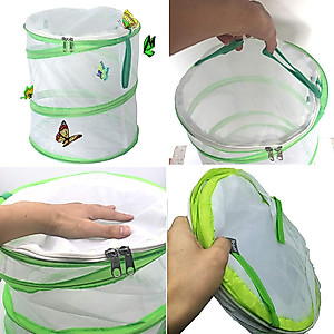 Trasfit Pop-up Insect and Butterfly Habitat Cage Terrarium – 12 x 14 Inches Tall