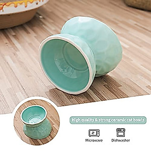 Ceramic Raised Cat Bowls, Tilted Elevated Cat Food and Water Bowls Set, Porcelain Stress Free Pet Feeder Bowl Dish for Cats and Small Dogs, Dishwasher and Microwave Safe, White & Green, Set of 2