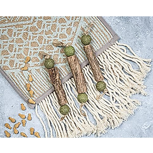 XanderPets Cat Chew Stick - Matatabi Stick for Cat - Silvervine Chew Sticks for Cats - Cat Dental Sticks w/Cat Nips Organic - All Breeds 3PK